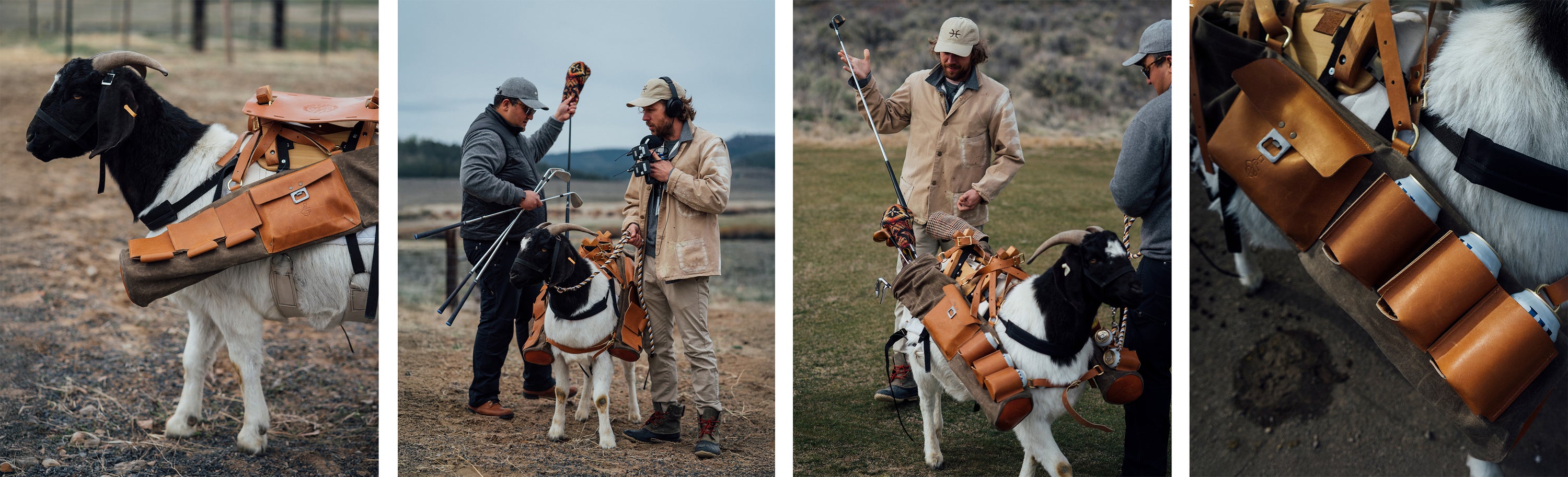 We Made a Golf Bag for a Goat – SEAMUS GOLF
