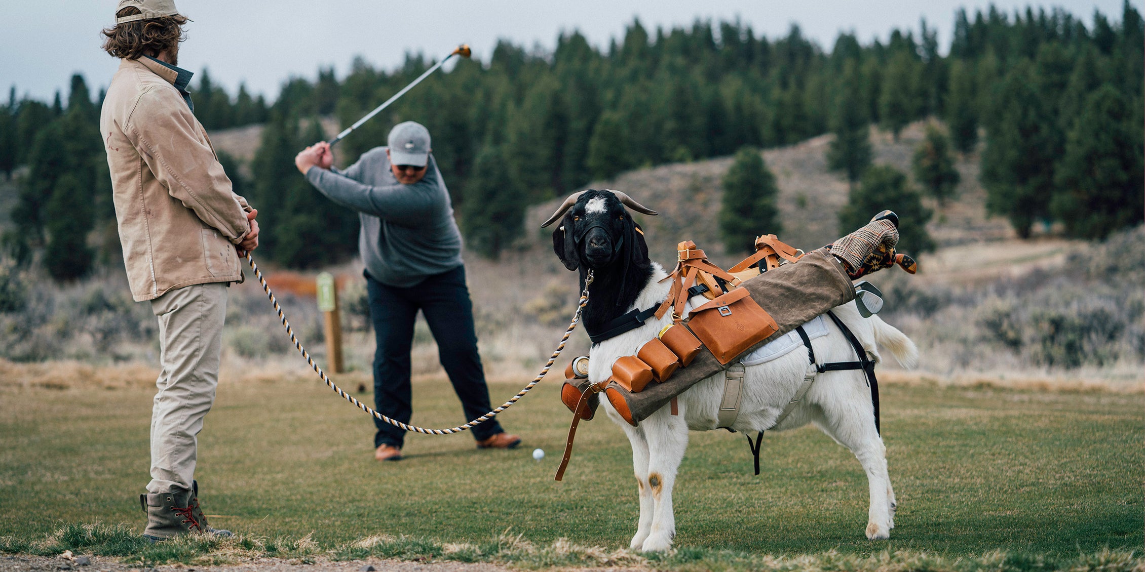 GOAT CADDIES – SEAMUS GOLF